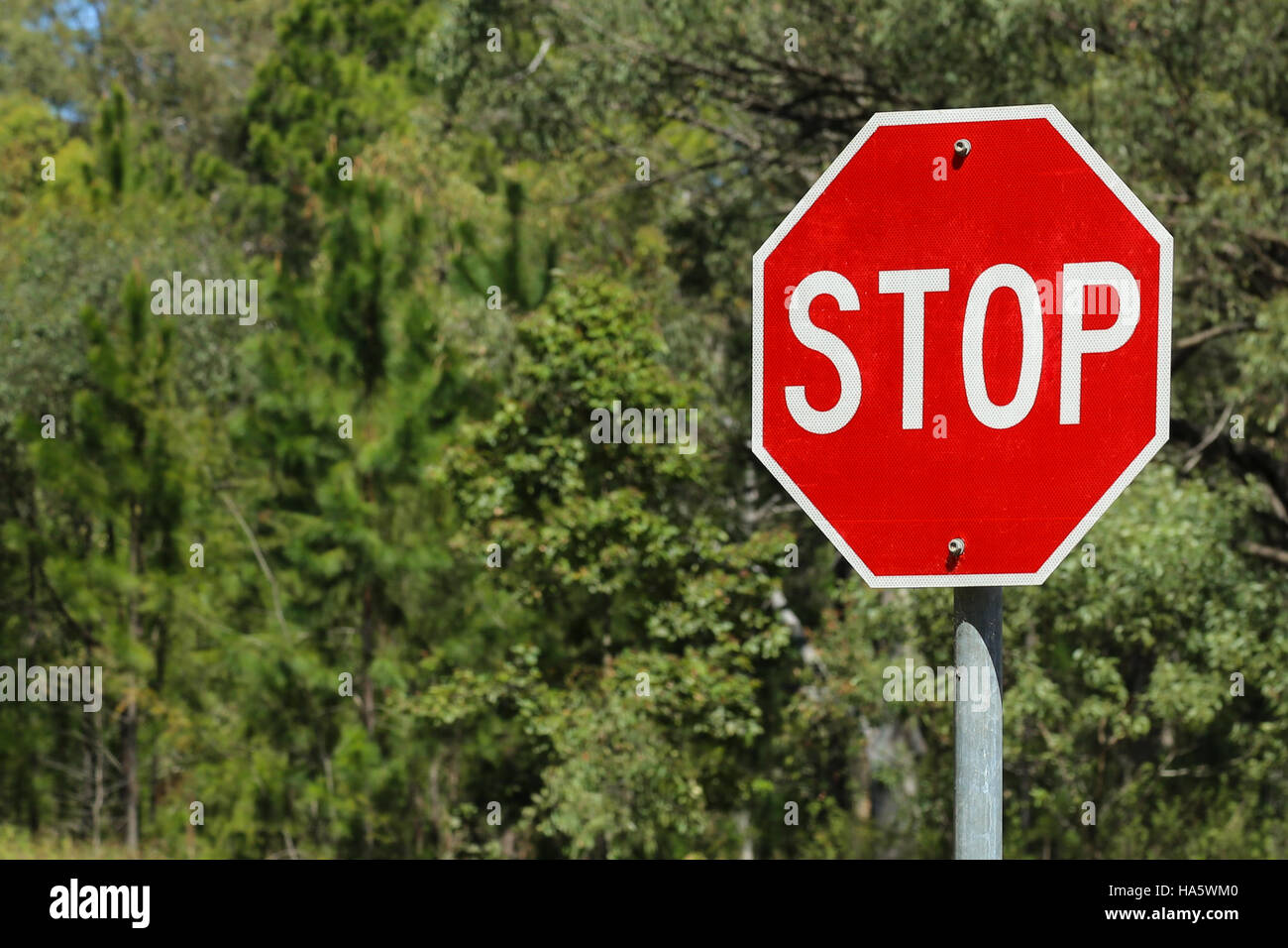 stop sign in woodlands, stop deforestation Stock Photo - Alamy