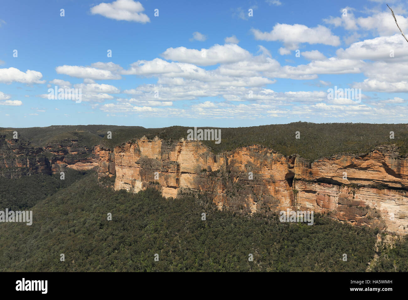 The beautiful high cliffs of the Blue Mountains national park, New ...