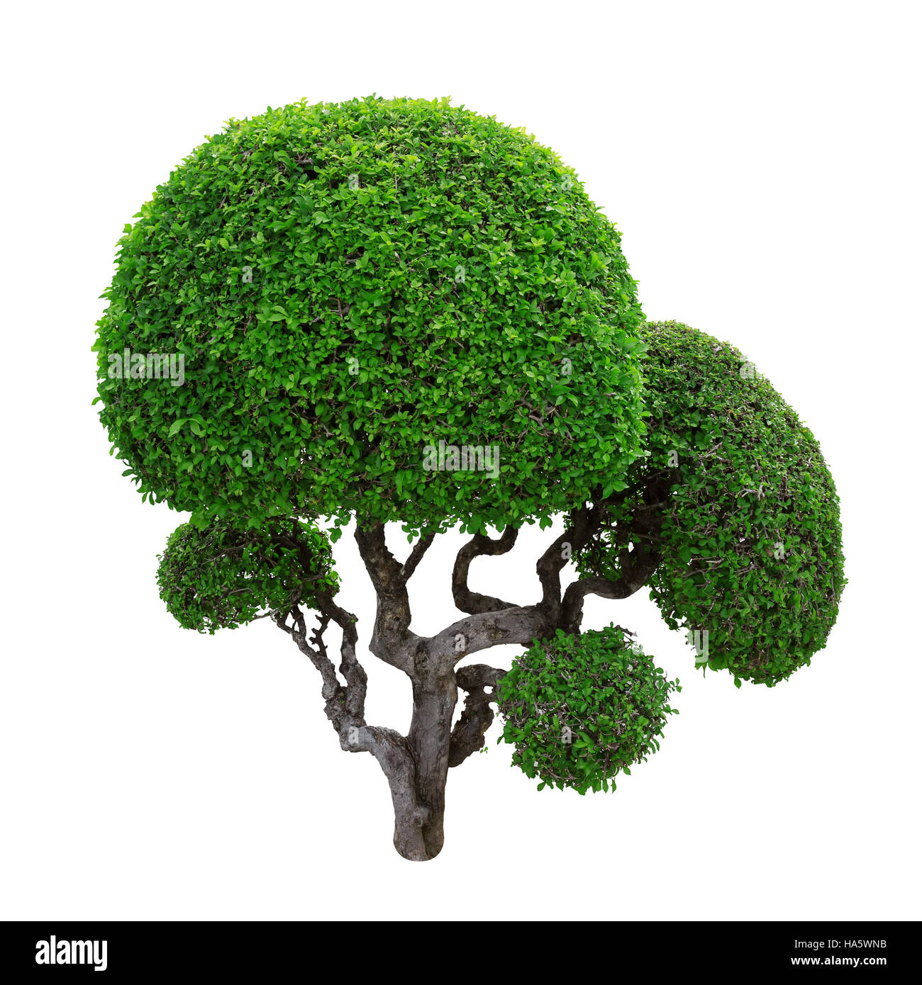 Cutting trees Cut Out Stock Images & Pictures - Alamy