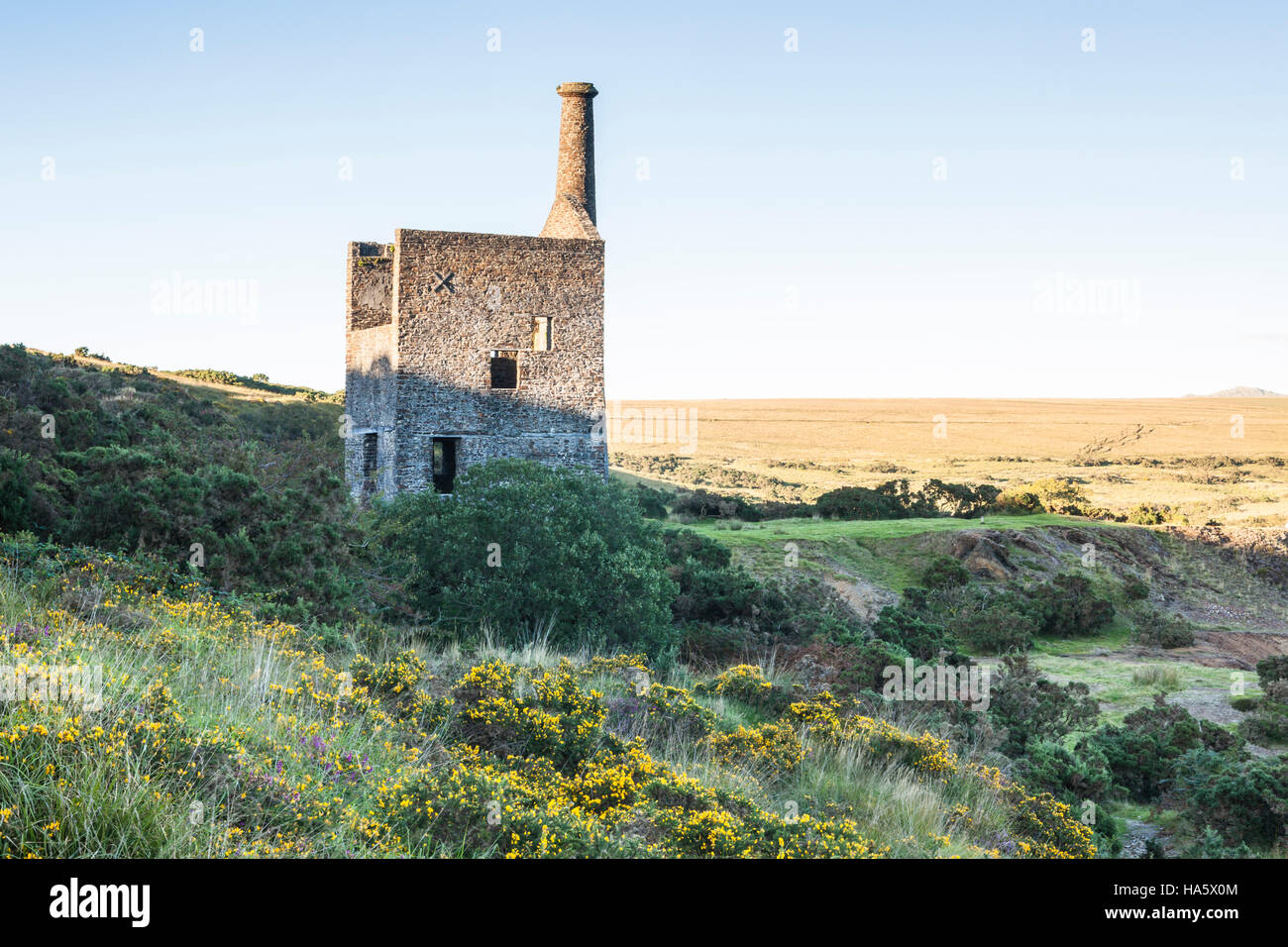 Wheal Betsy engine house on the border of Dartmoor in Devon Stock Photo ...
