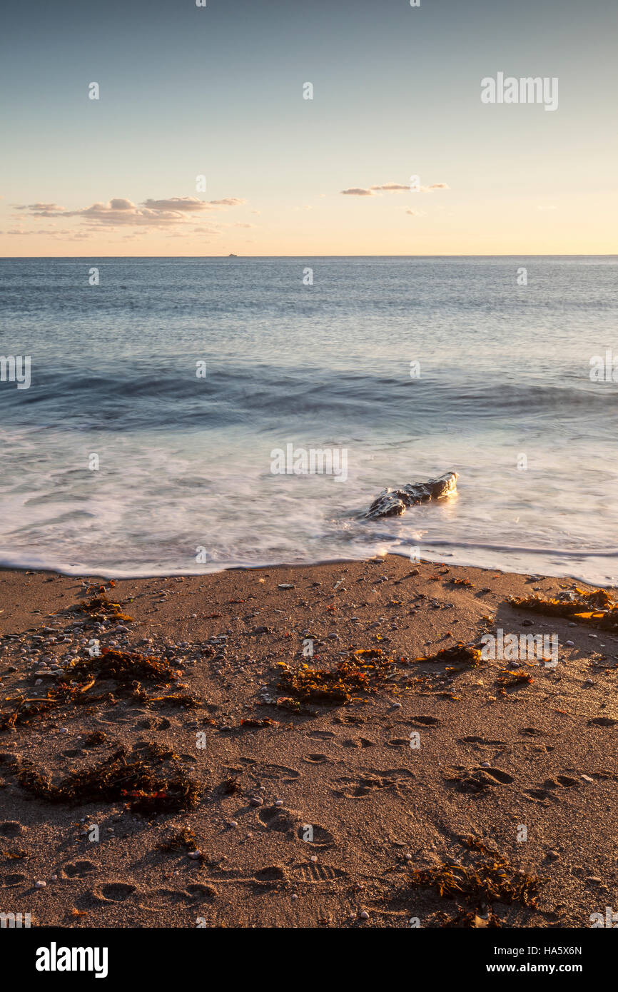 Devon westcombe hi-res stock photography and images - Alamy