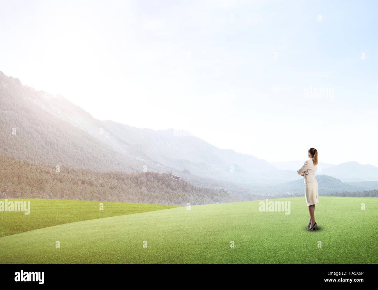 Achieving top of success Stock Photo - Alamy