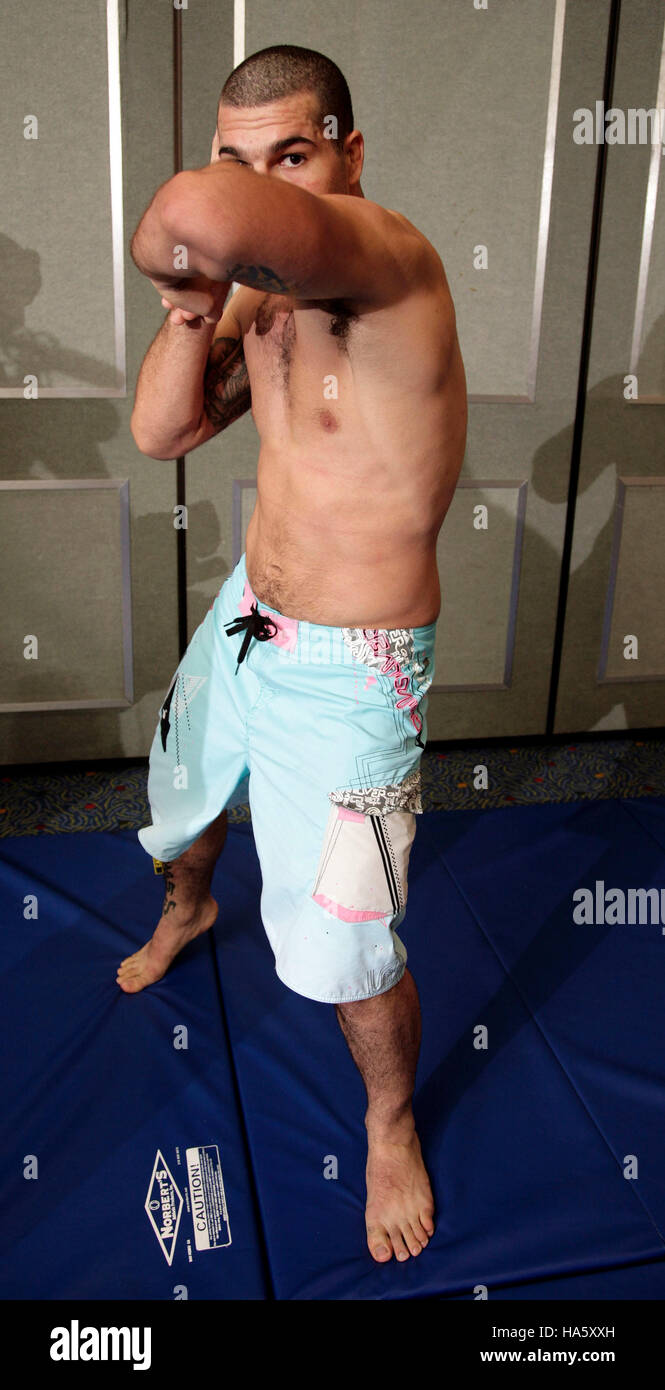 Shogun rua hi-res stock photography and images - Alamy