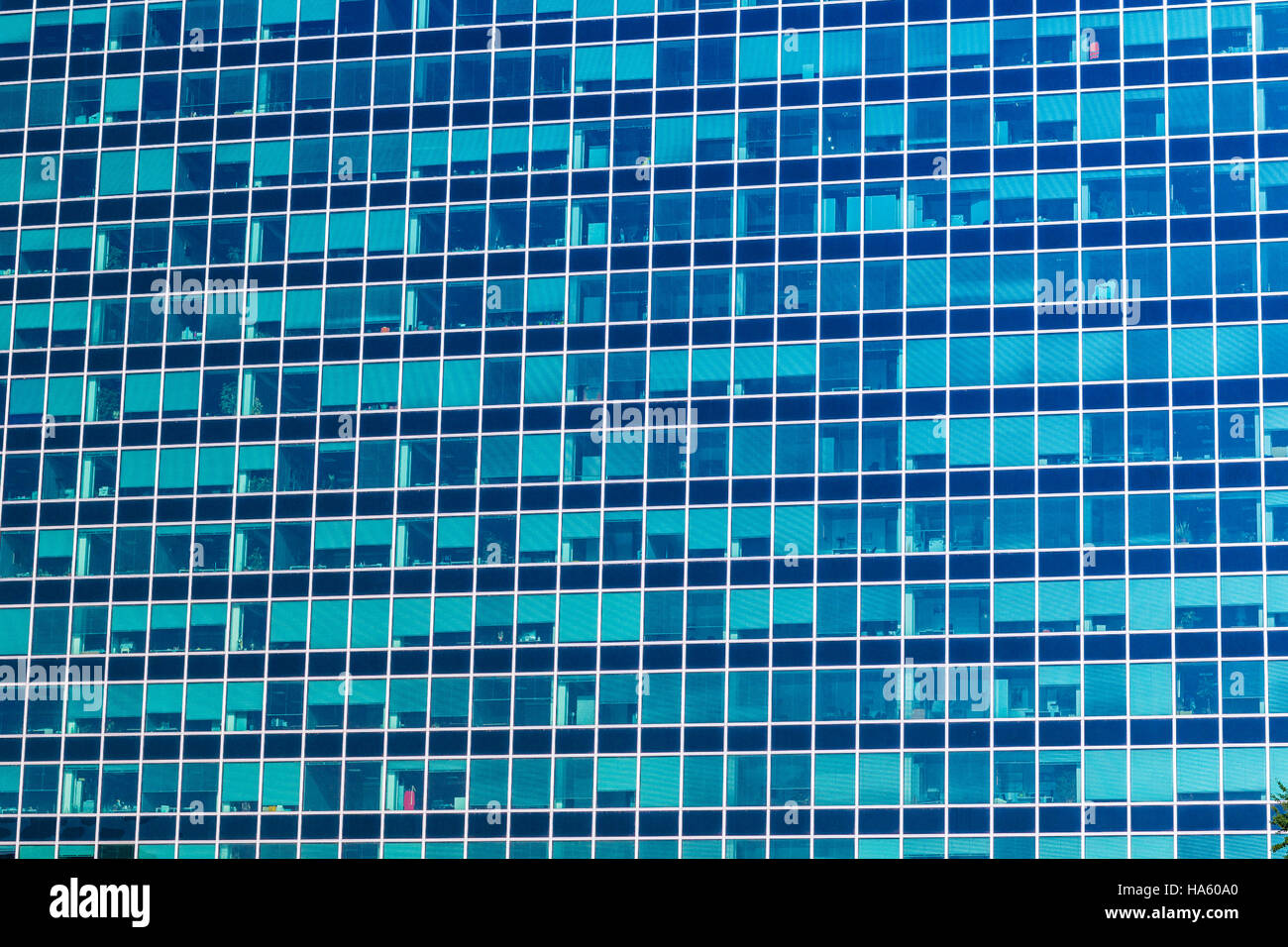 pattern of skyscraper glass windows Stock Photo - Alamy