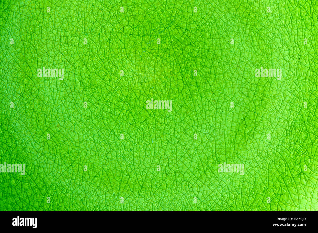 close up of textures of cracked green porcelain Stock Photo - Alamy