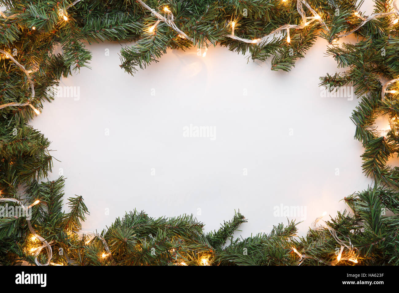 Branches of conifer with garland of lights in empty white background ...