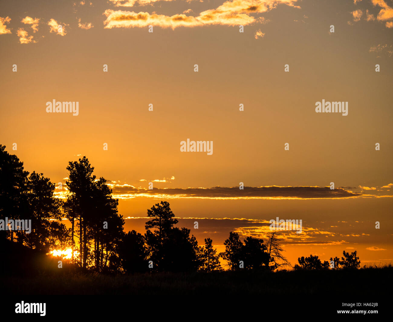 Sunrise, Wildlife Loop Road, Custer State Park, Custer, South Dakota ...