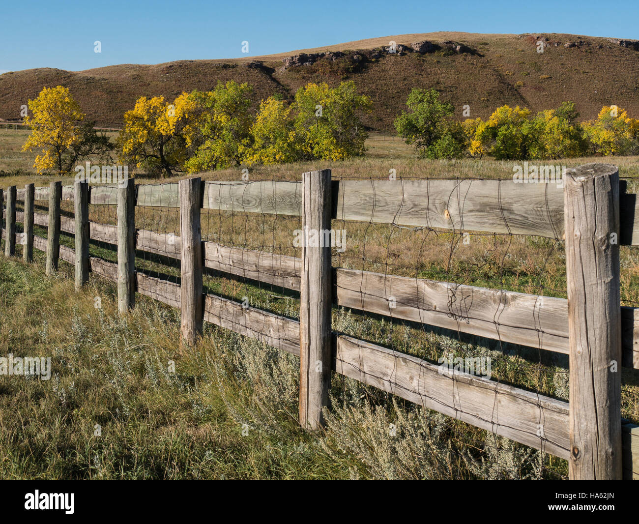 Buffalo corral fence, autumn color, Wildlife Loop Road, Custer State ...