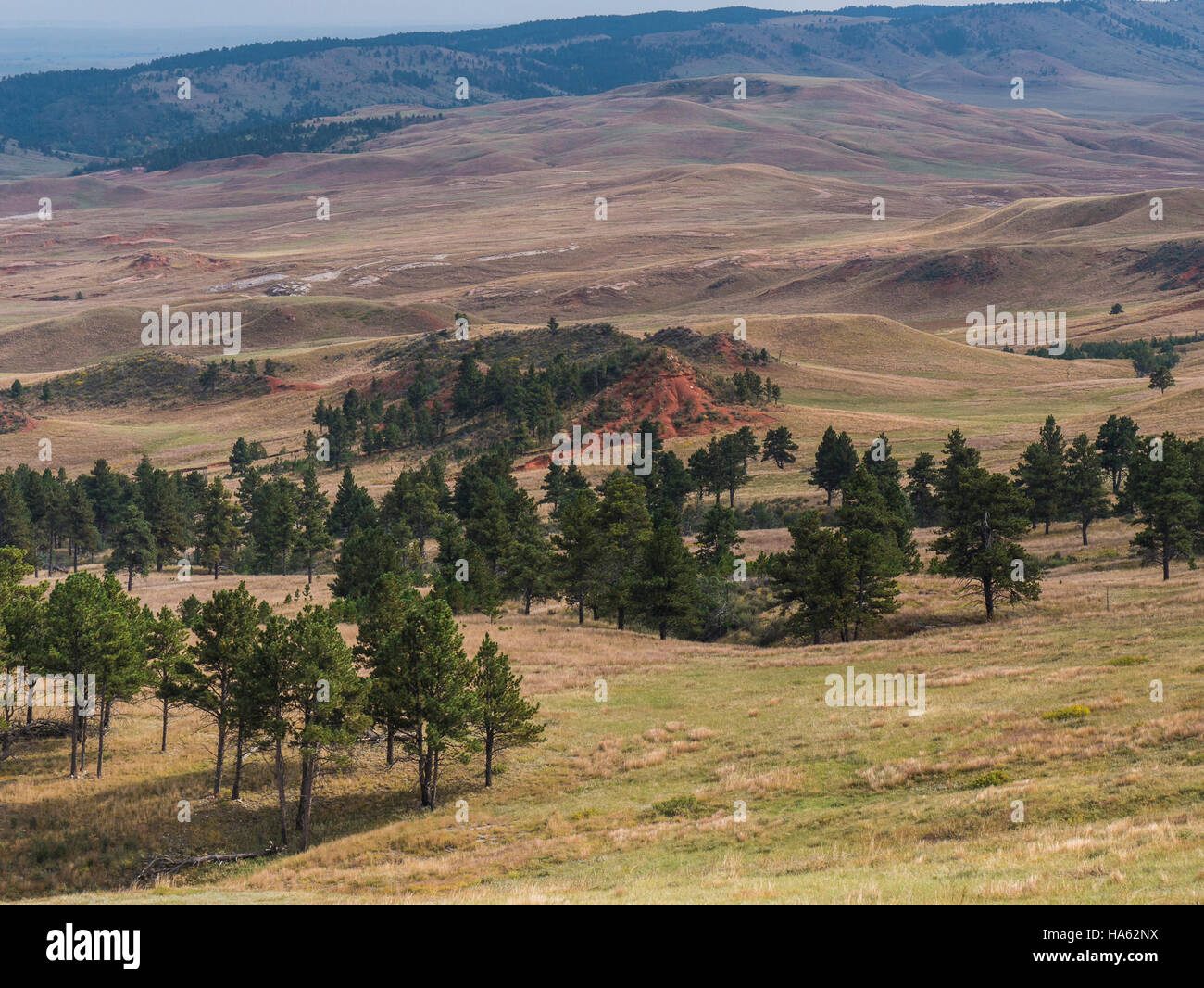 Red rock and prairie view, Wind Cave road #5, Wind Cave National Park ...