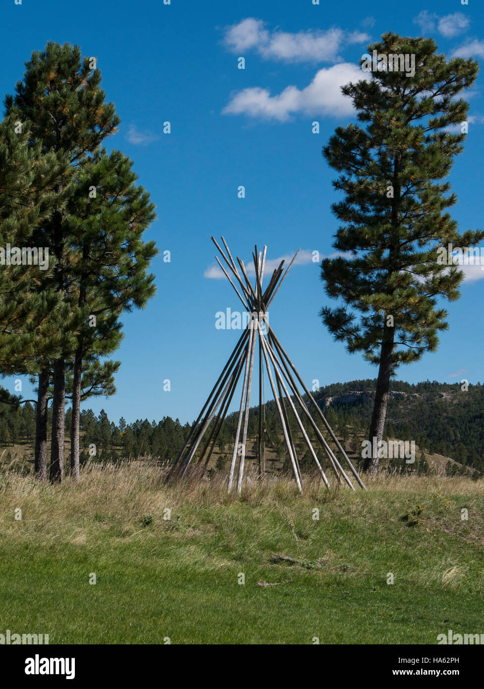 Pine trees and Teepee frame, Tatanka Story of the Bison, Deadwood ...