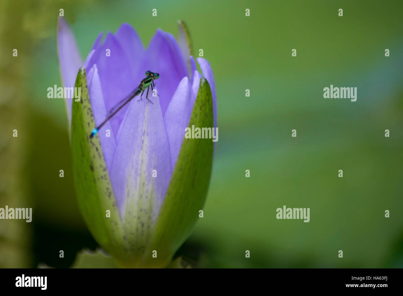 Stop on the way hi-res stock photography and images - Alamy