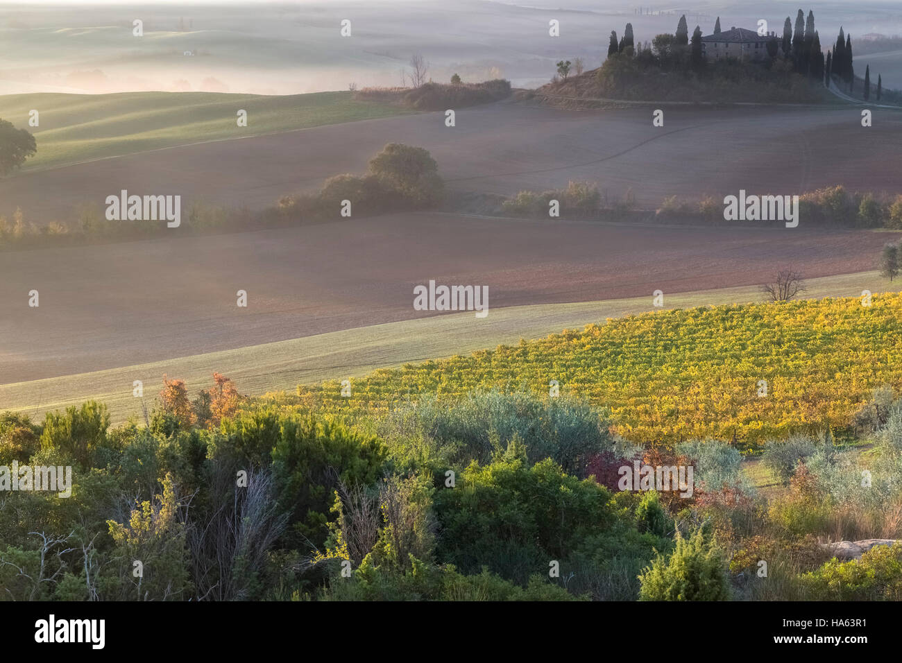Tuscan countryside at sunrise, Podere Belvedere, San Quirico d'Orcia ...