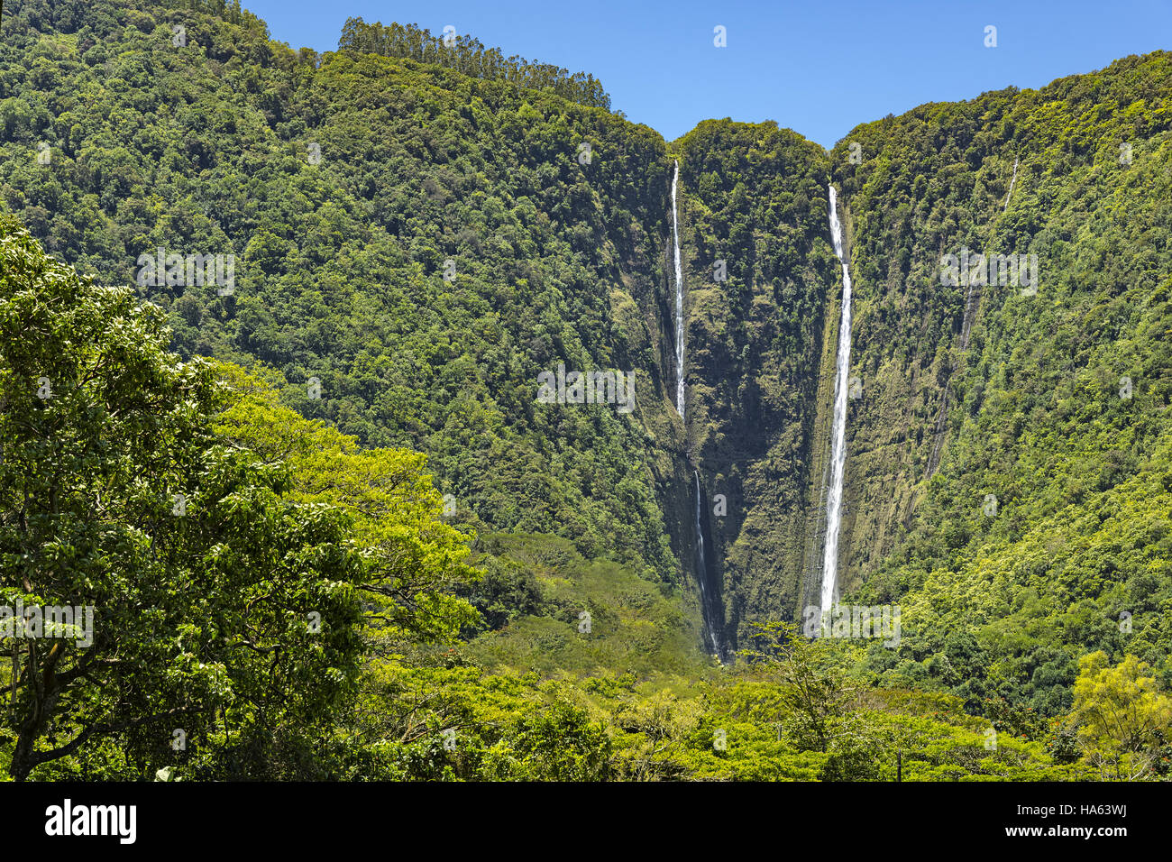 Waipio Falls in a tropical rainforest in the Waipio Valley Big Island ...