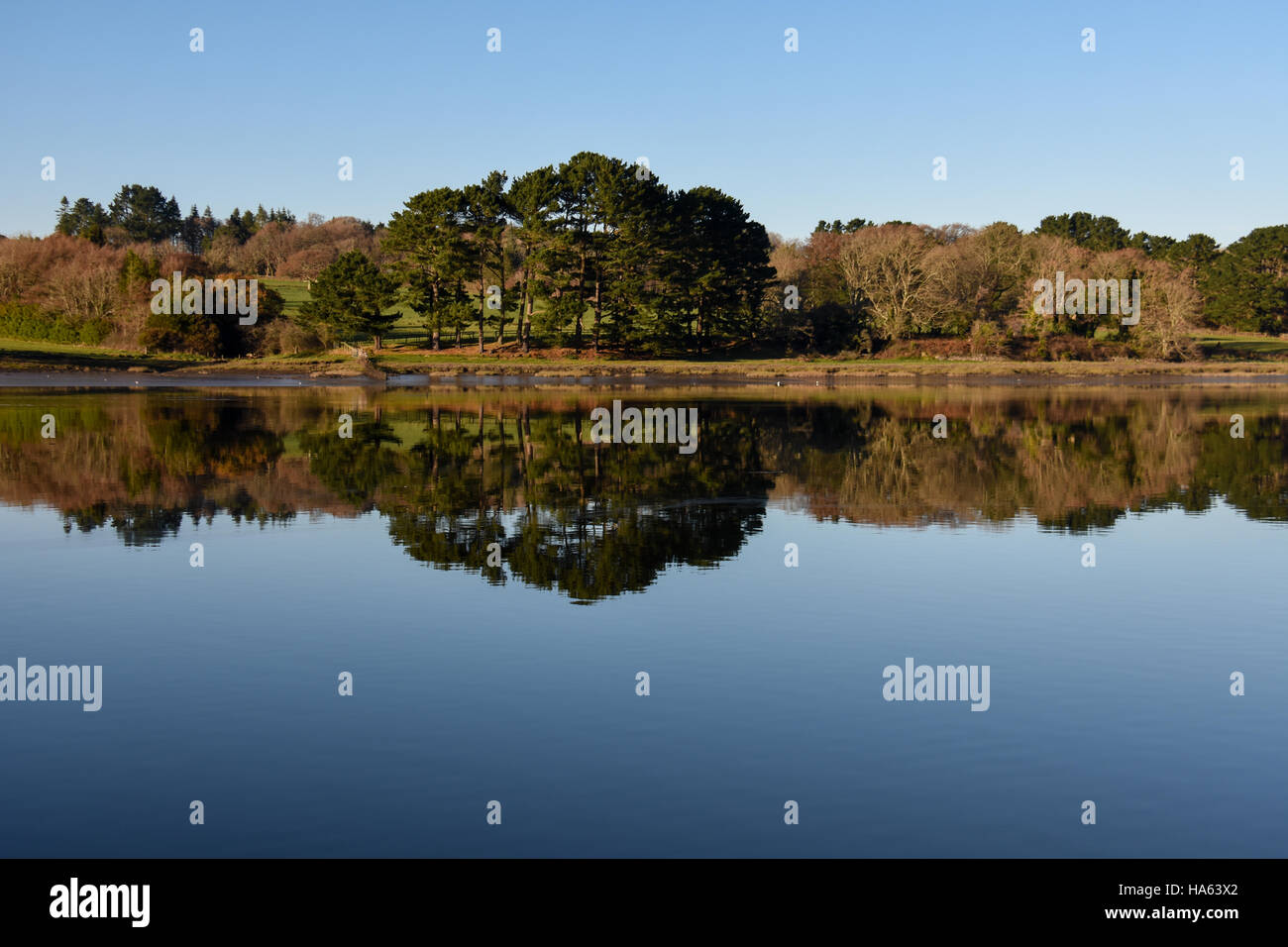 Blue sky and trees reflected in perfectly calm water Stock Photo - Alamy
