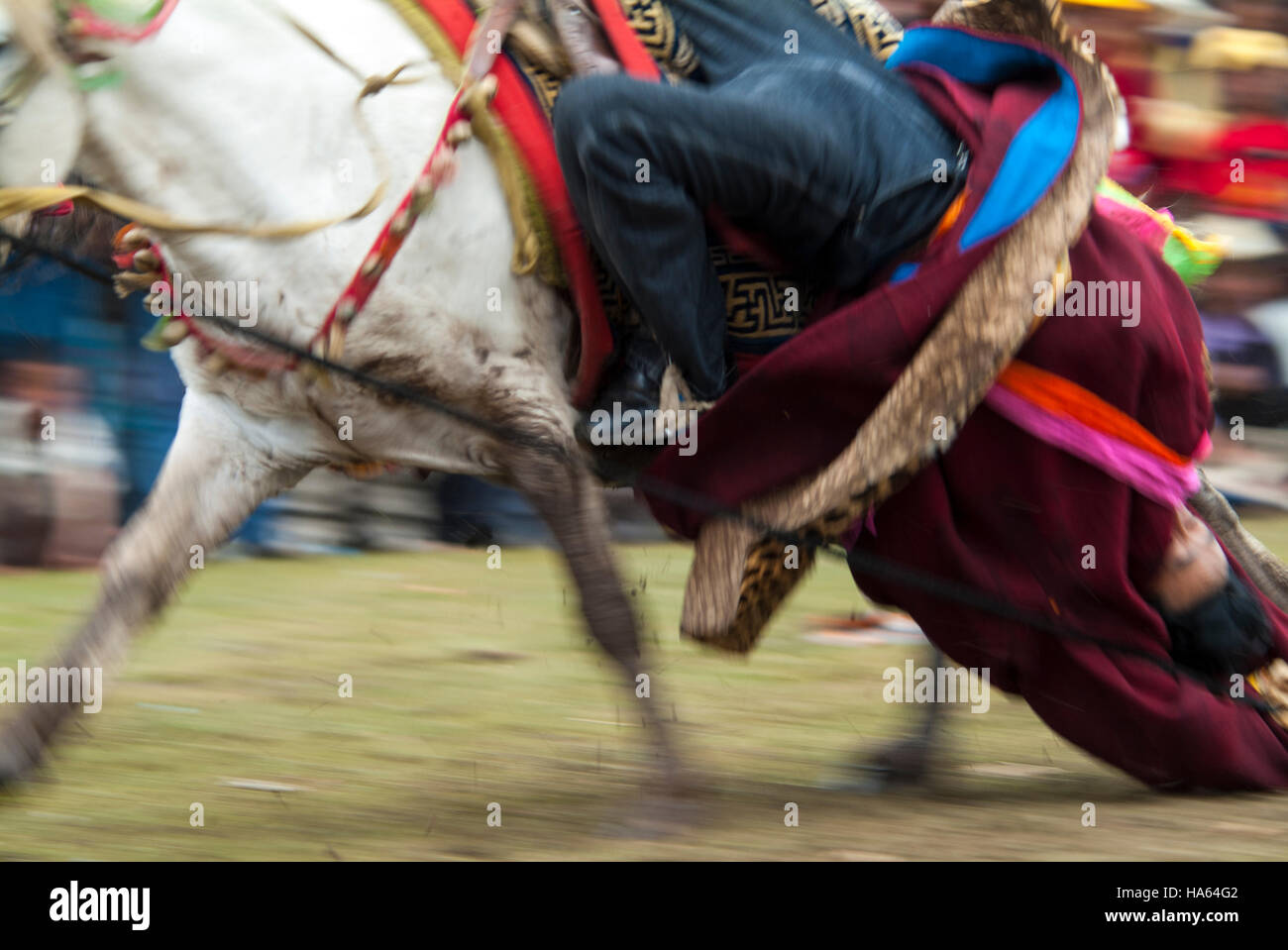 Horsemen perform horse acrobatics at the annual Litang Horse Racing ...