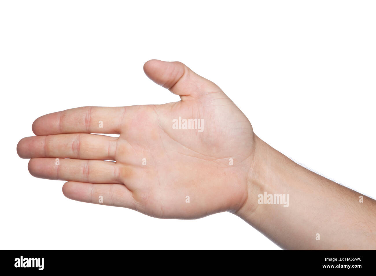 open hand on a white background, copy space Stock Photo - Alamy