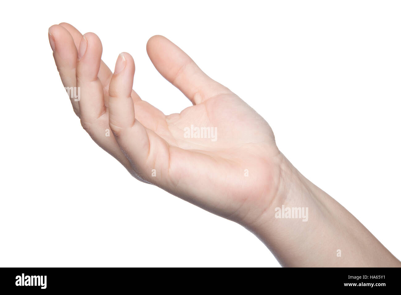 hand on a white background, place on the advertisement, copy space ...