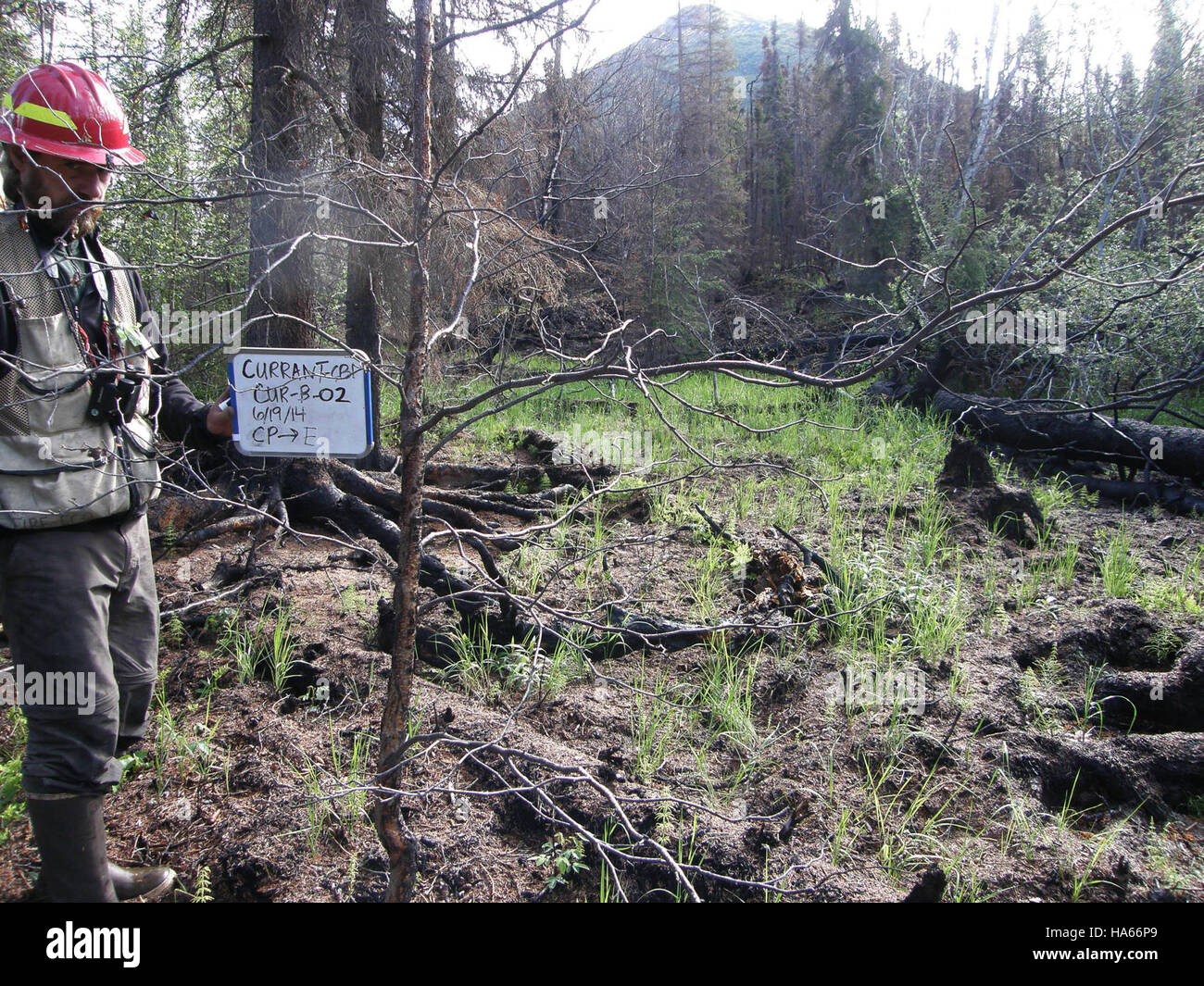 Past disturbances hi-res stock photography and images - Alamy