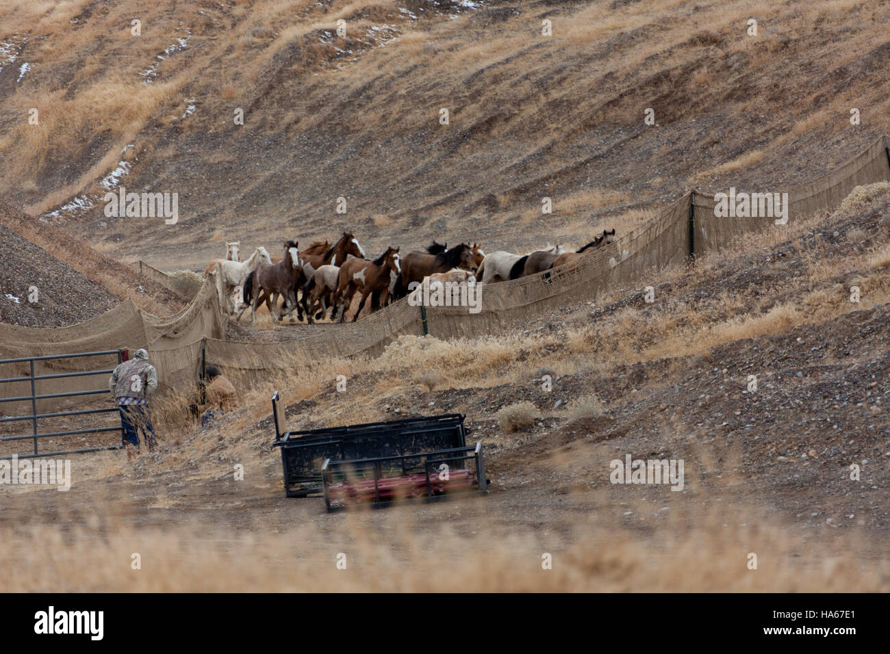 A photo of land managed by the Bureau of Land Management (BLM) in ...