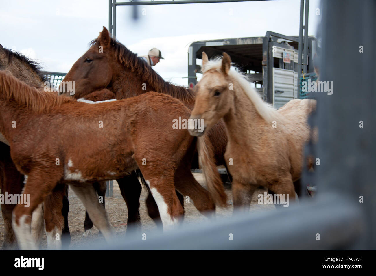 MG 0311 is a Bureau of Land Management initiative aimed at preserving ...