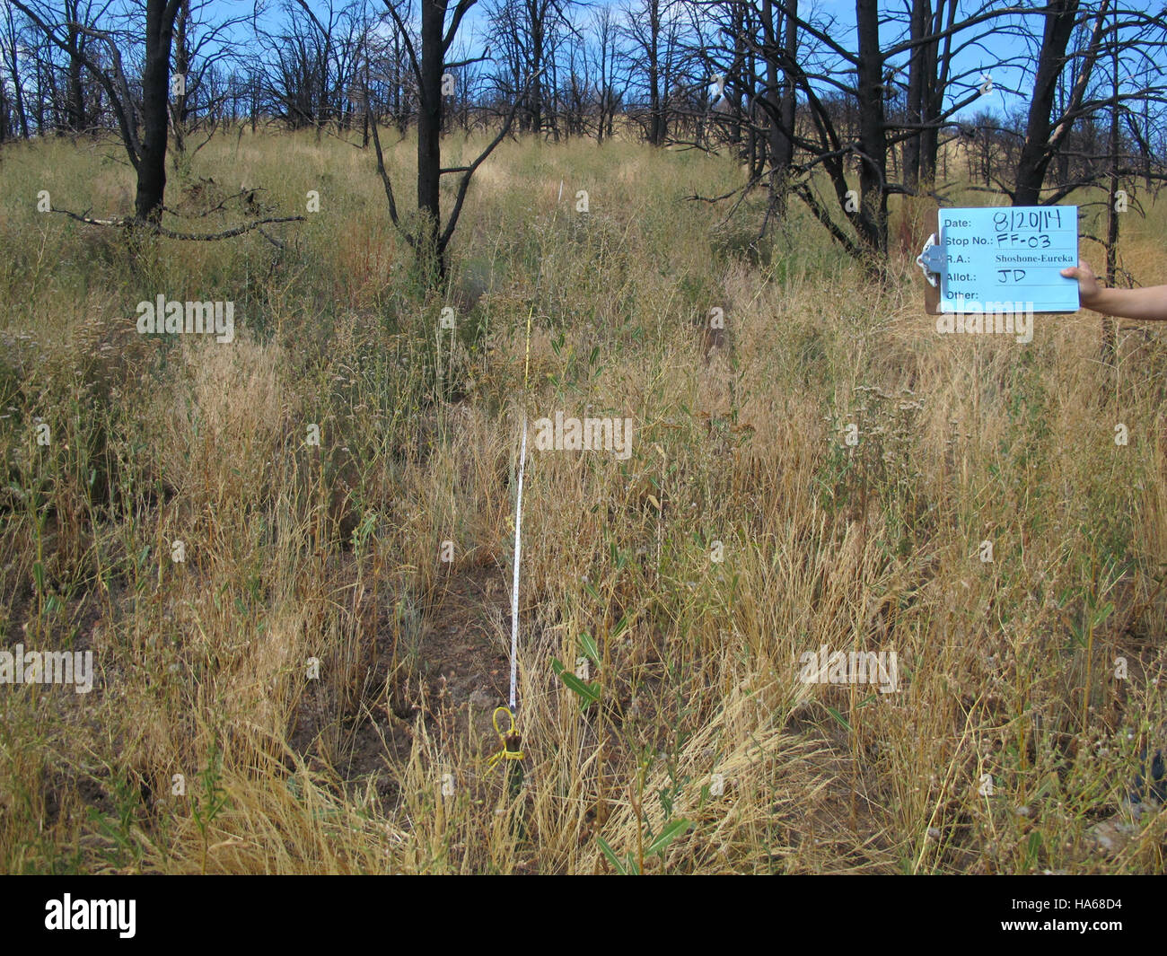 Frazier fire hi-res stock photography and images - Alamy