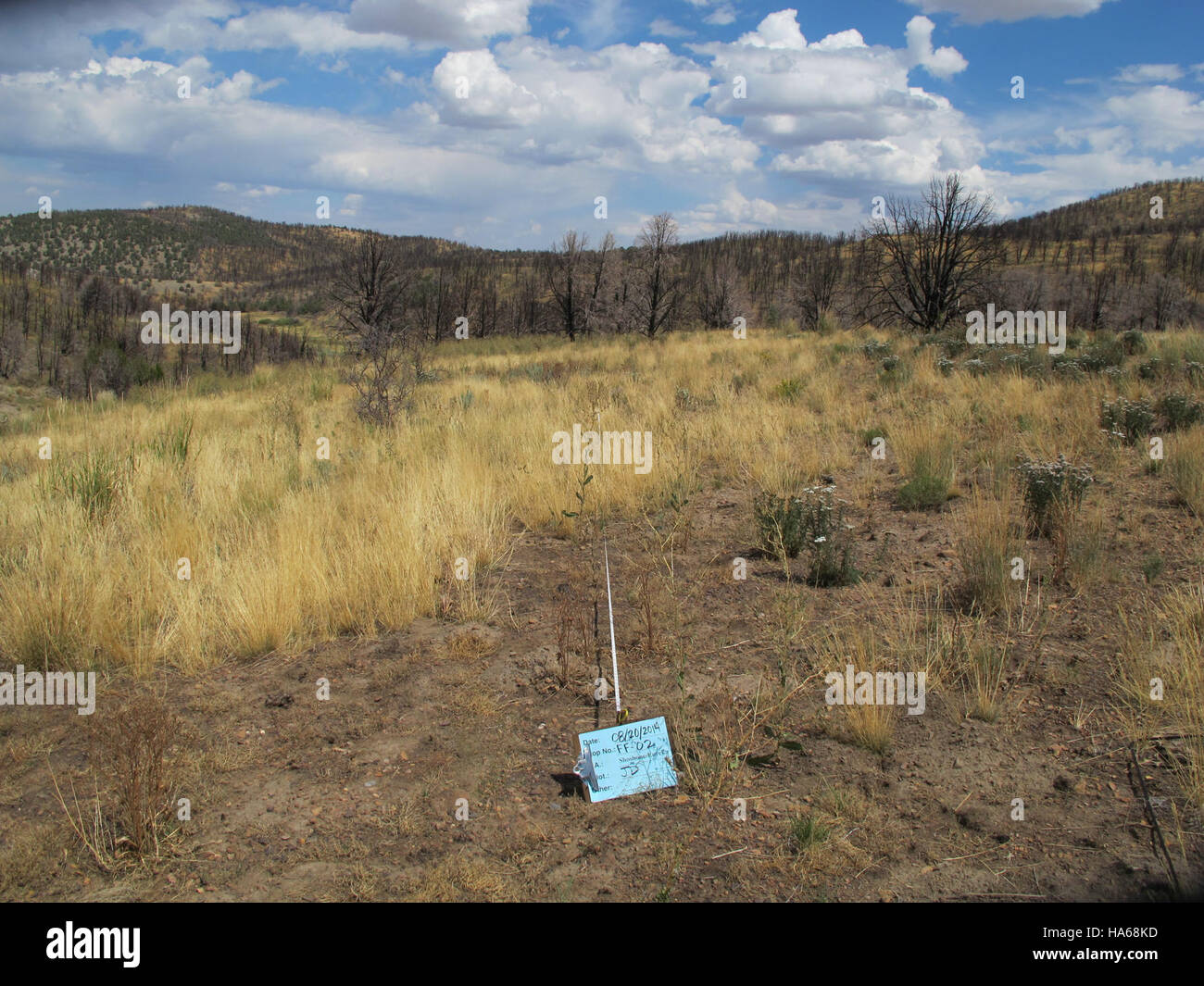 The Frazier Fire in Nevada is monitored under the Bureau of Land ...