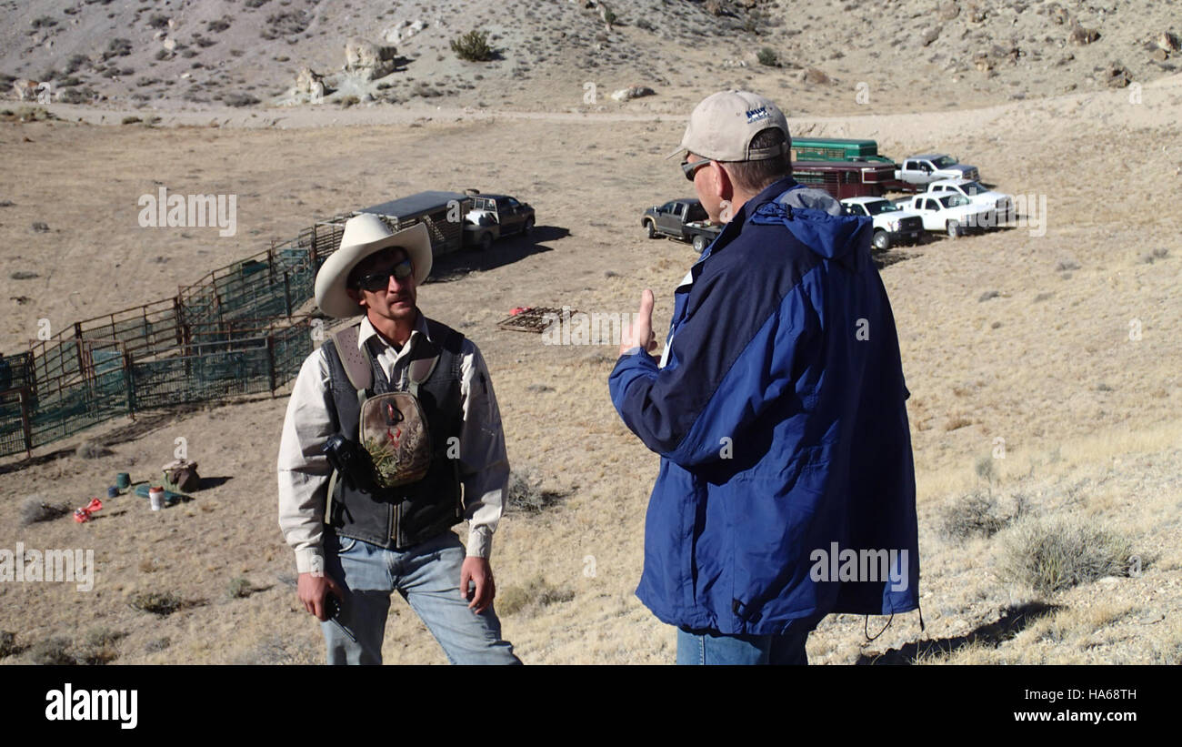 The Bureau of Land Management (BLM) conducts a wild horse and burro ...