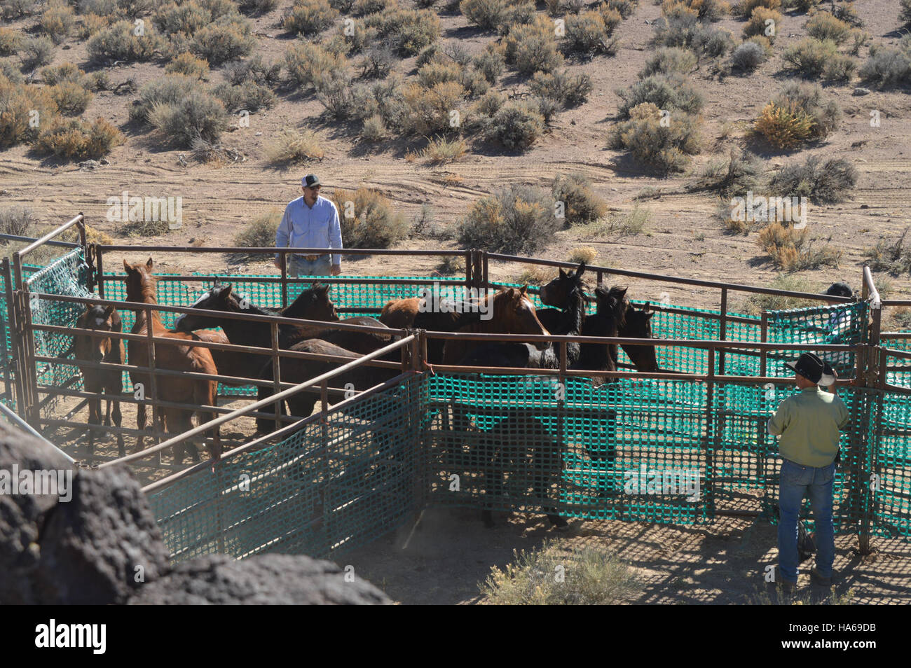 blmnevada 15704766246 141106-bmdo-reveille-gather (42 Stock Photo - Alamy