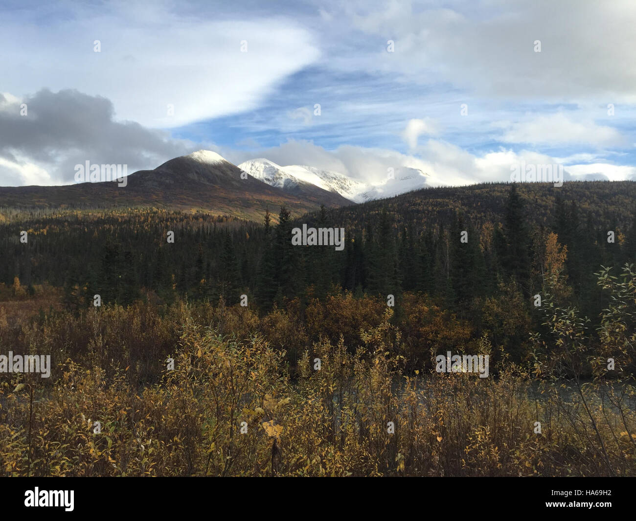 This image depicts the South Central Alaska landscape, a focus area for ...