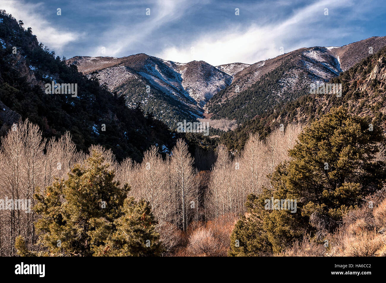 The Aspen Mountains in Nevada offer stunning vistas and rich ecosystems ...