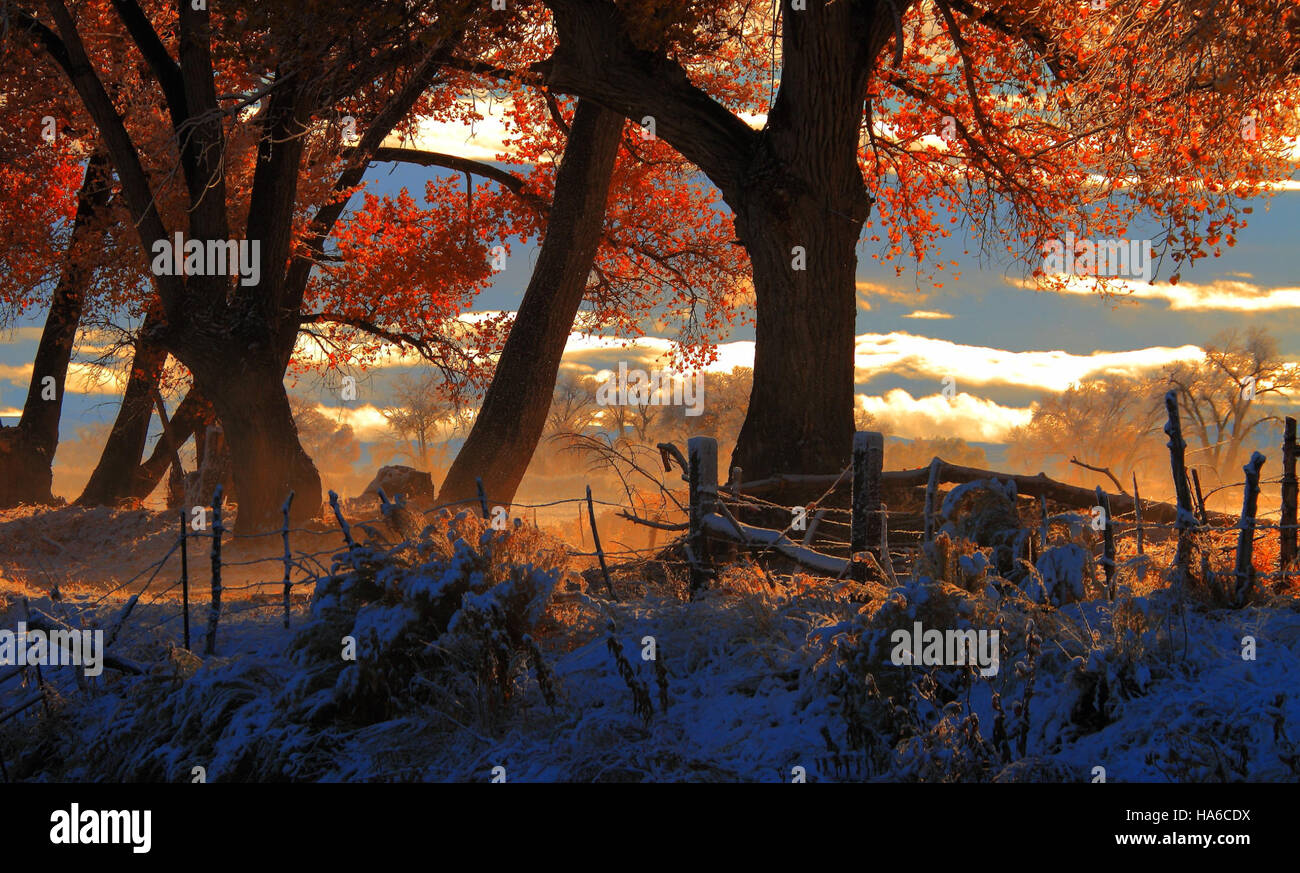 Fallon park hi-res stock photography and images - Alamy