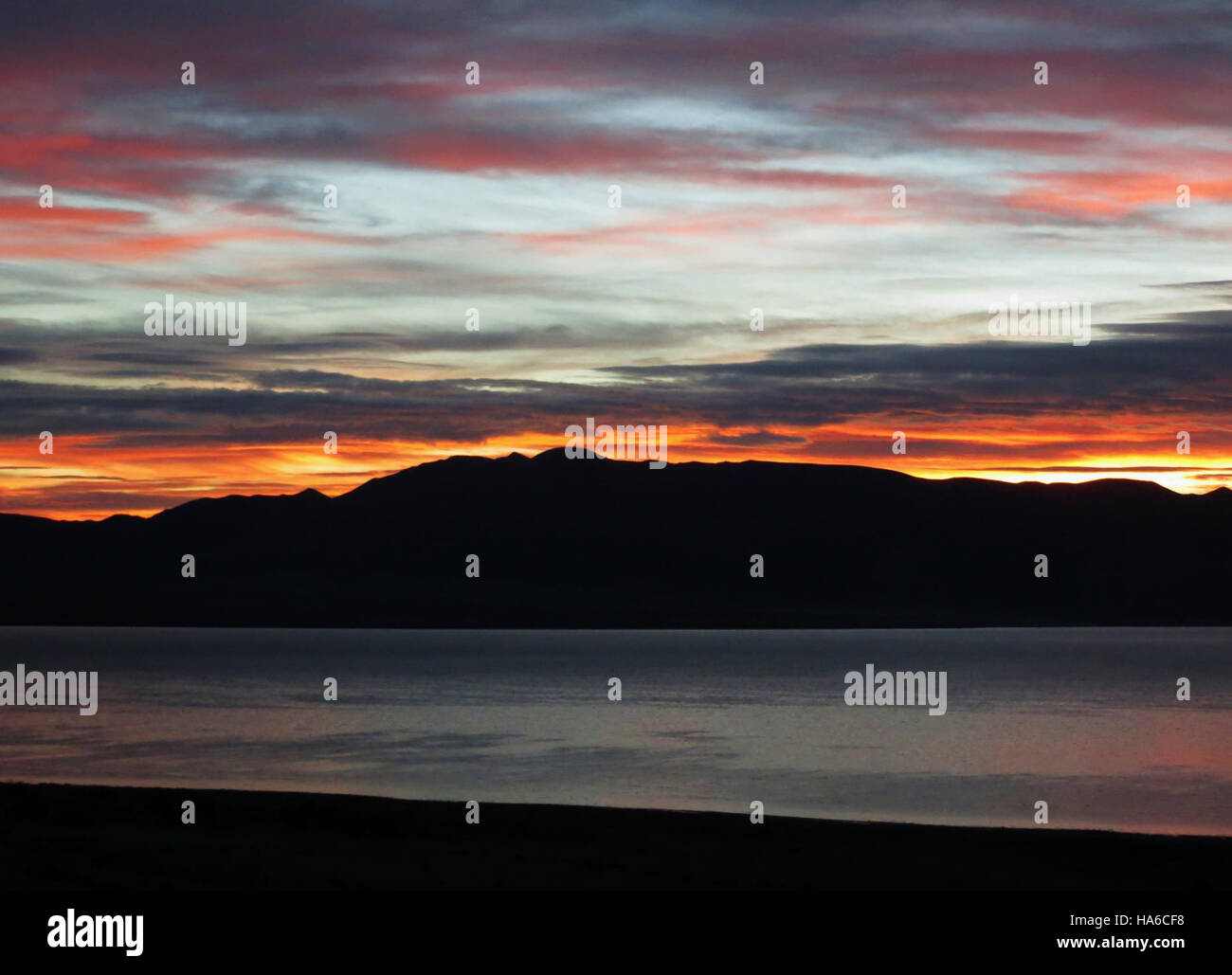 The Bureau of Land Management (BLM) manages federal lands across Nevada ...