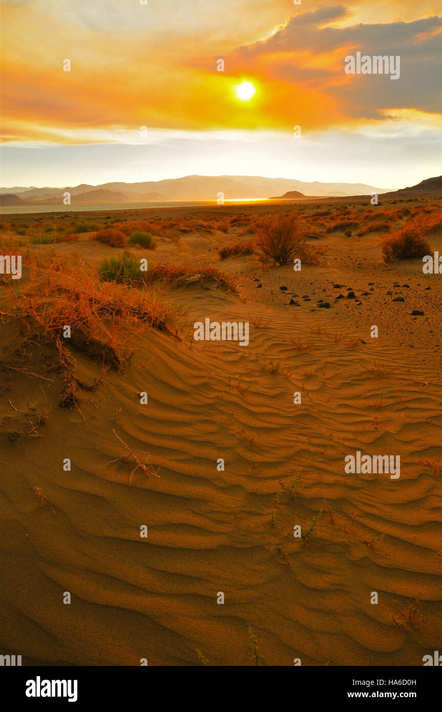 Momberg Stock Photos & Momberg Stock Images - Alamy