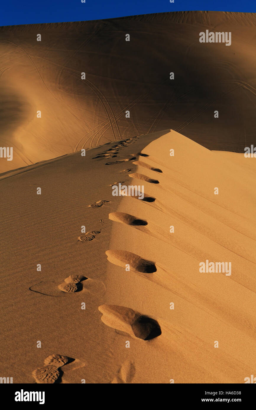 This image from the Bureau of Land Management (BLM) in Nevada ...