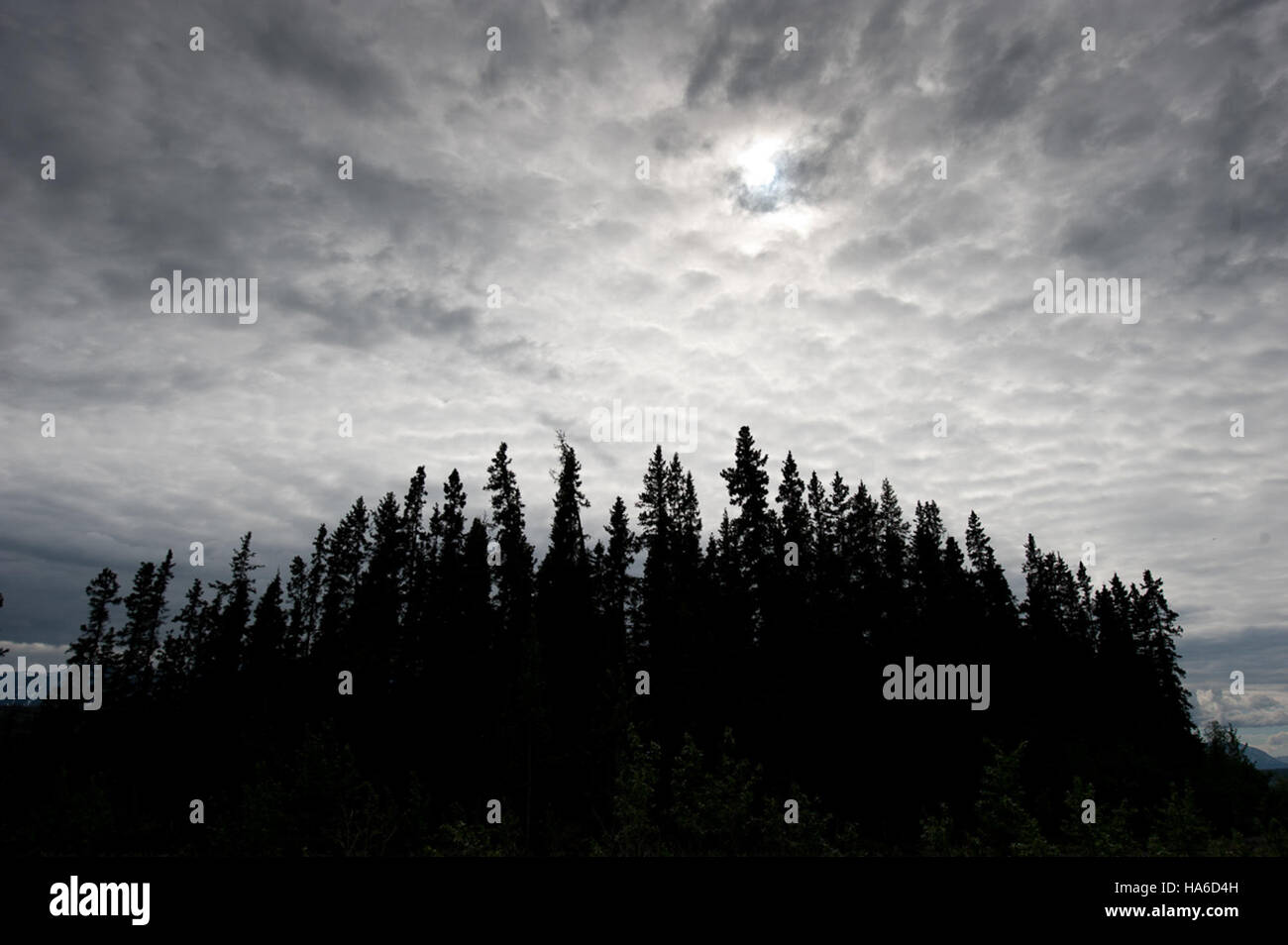 A river floating expedition in Wrangell-St. Elias National Park offers ...