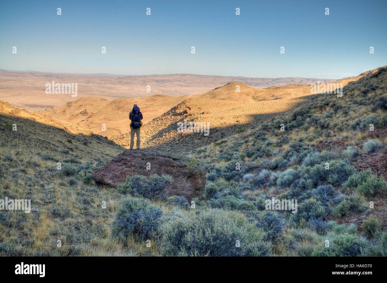 This photo contest showcases the intersection of nature, science, and ...