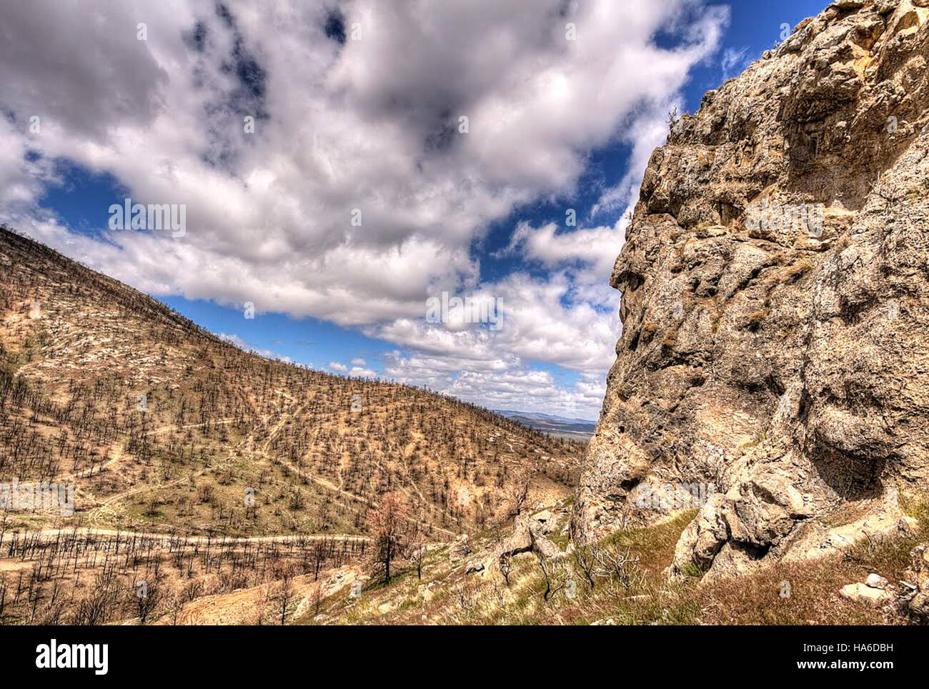 blmnevada 19788751368 Frazier Fire Burn Stock Photo - Alamy