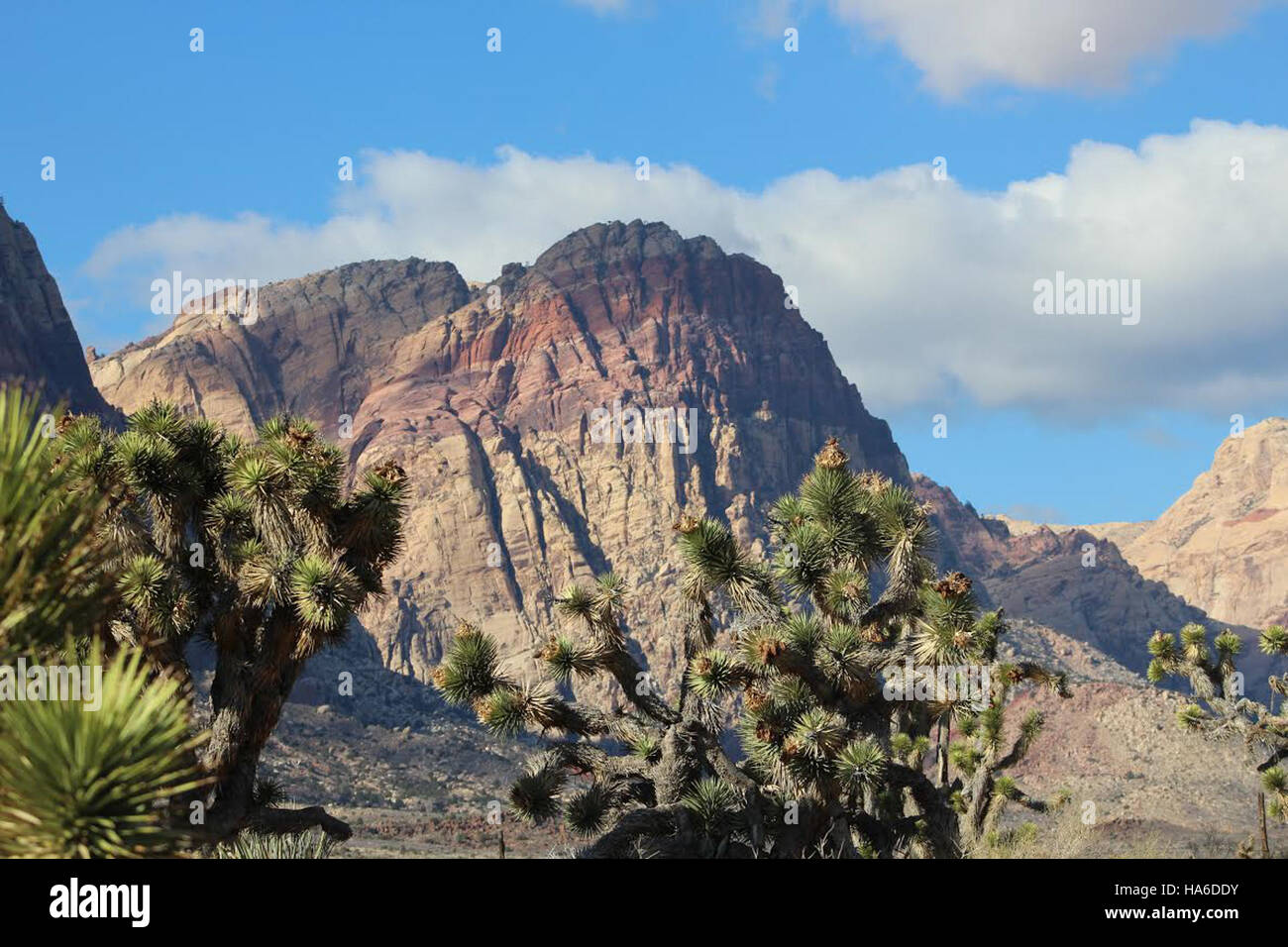 Red Rocks is a scenic area managed by the Bureau of Land Management ...
