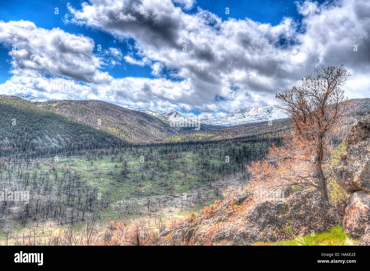Roberts mountains hi-res stock photography and images - Alamy