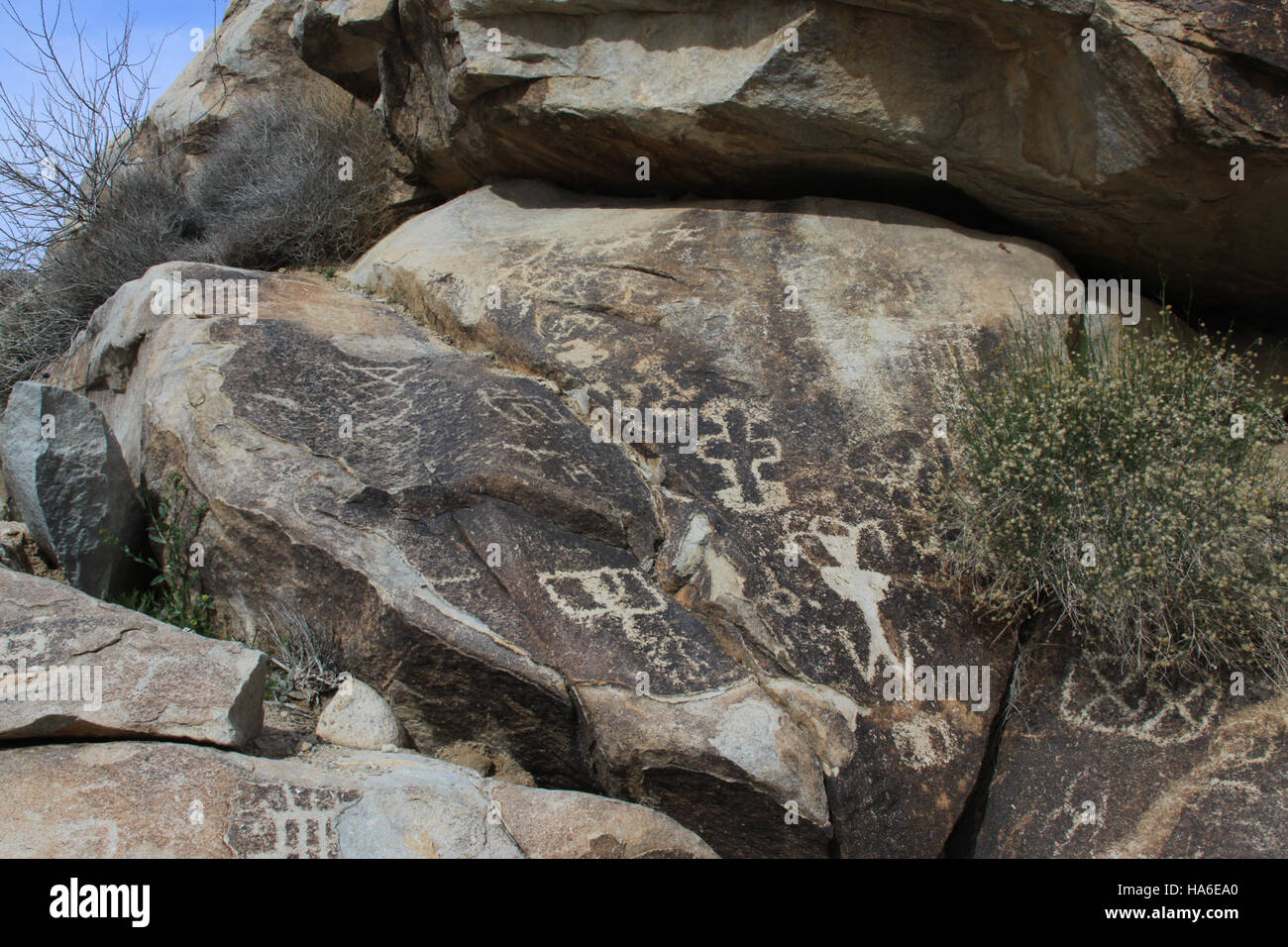 Desert rock art in Nevada depicts a bat, a symbol often associated with ...