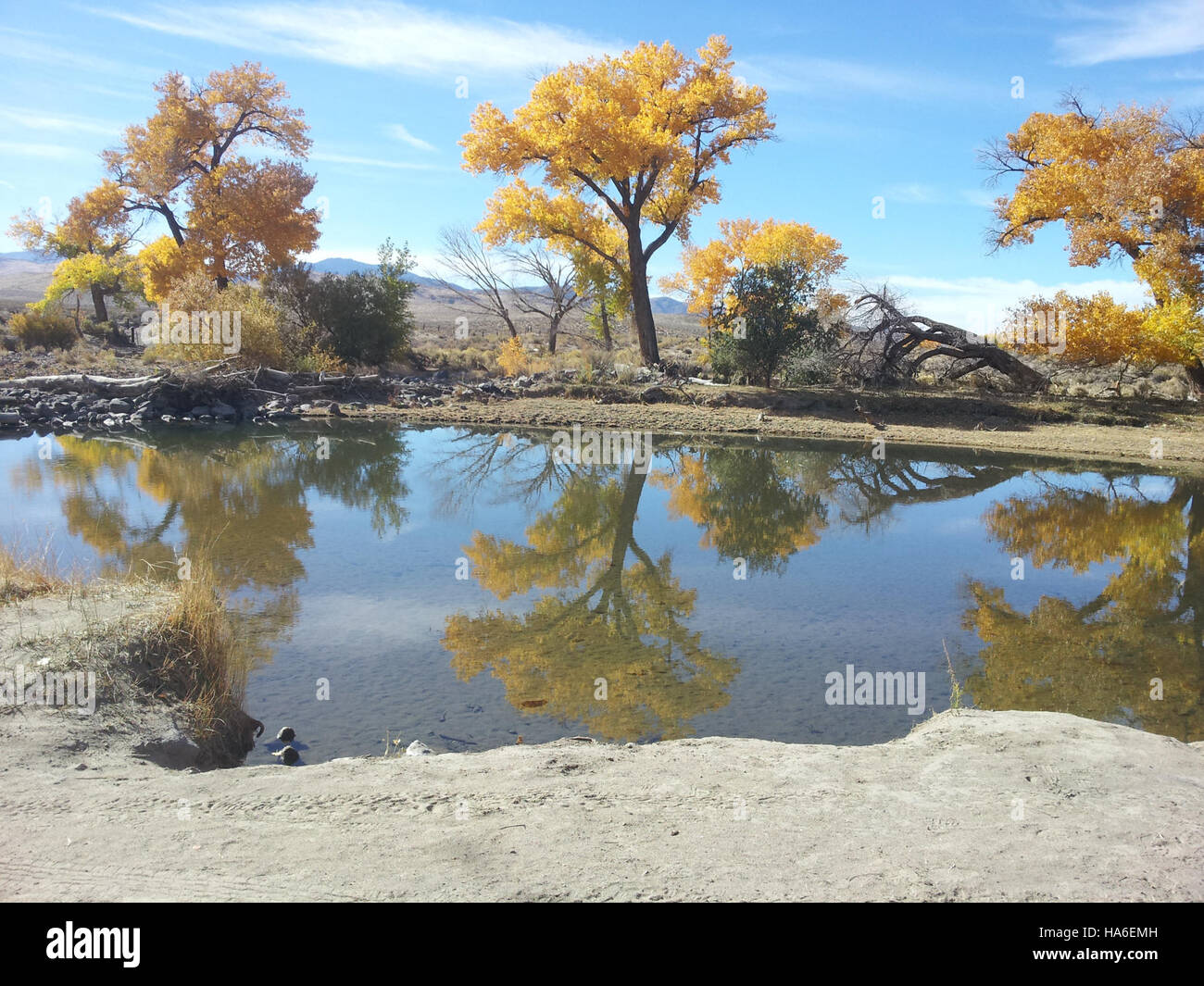 The Carson River in Nevada is a critical waterway managed by the Bureau ...