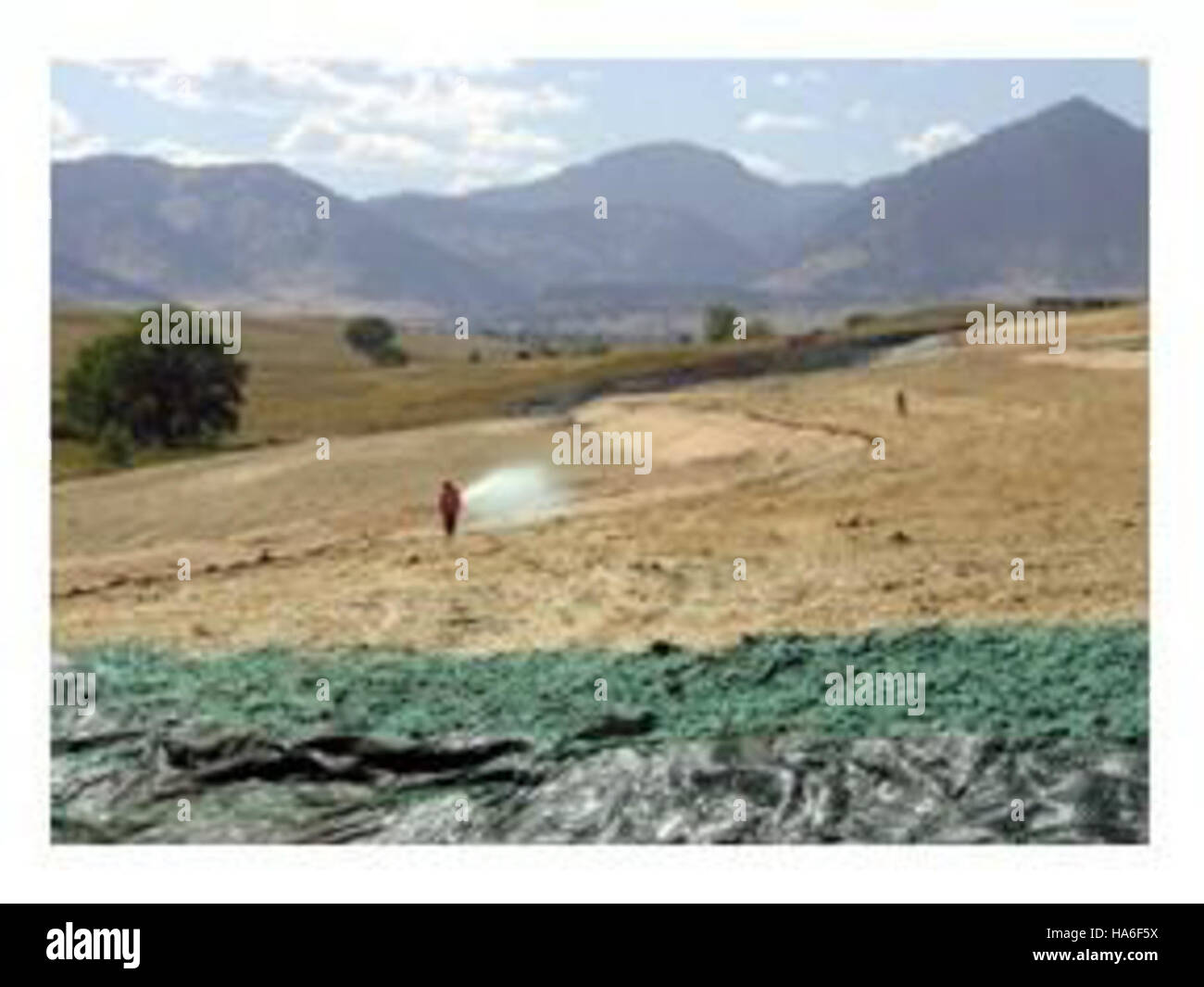 Through vegetation Cut Out Stock Images & Pictures - Alamy