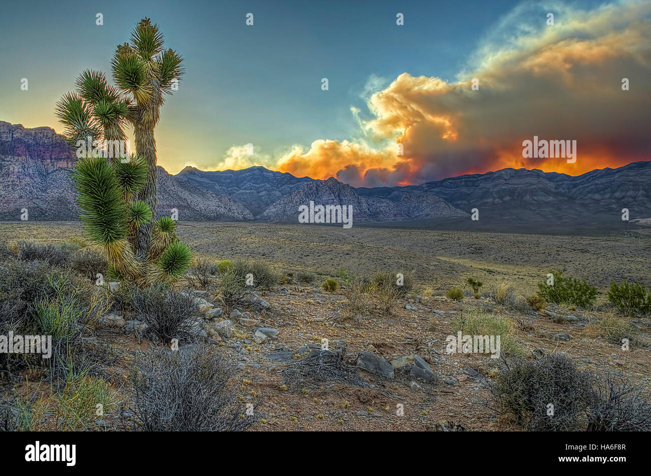 This image from Red Rock Canyon National Park shows smoke rising from ...
