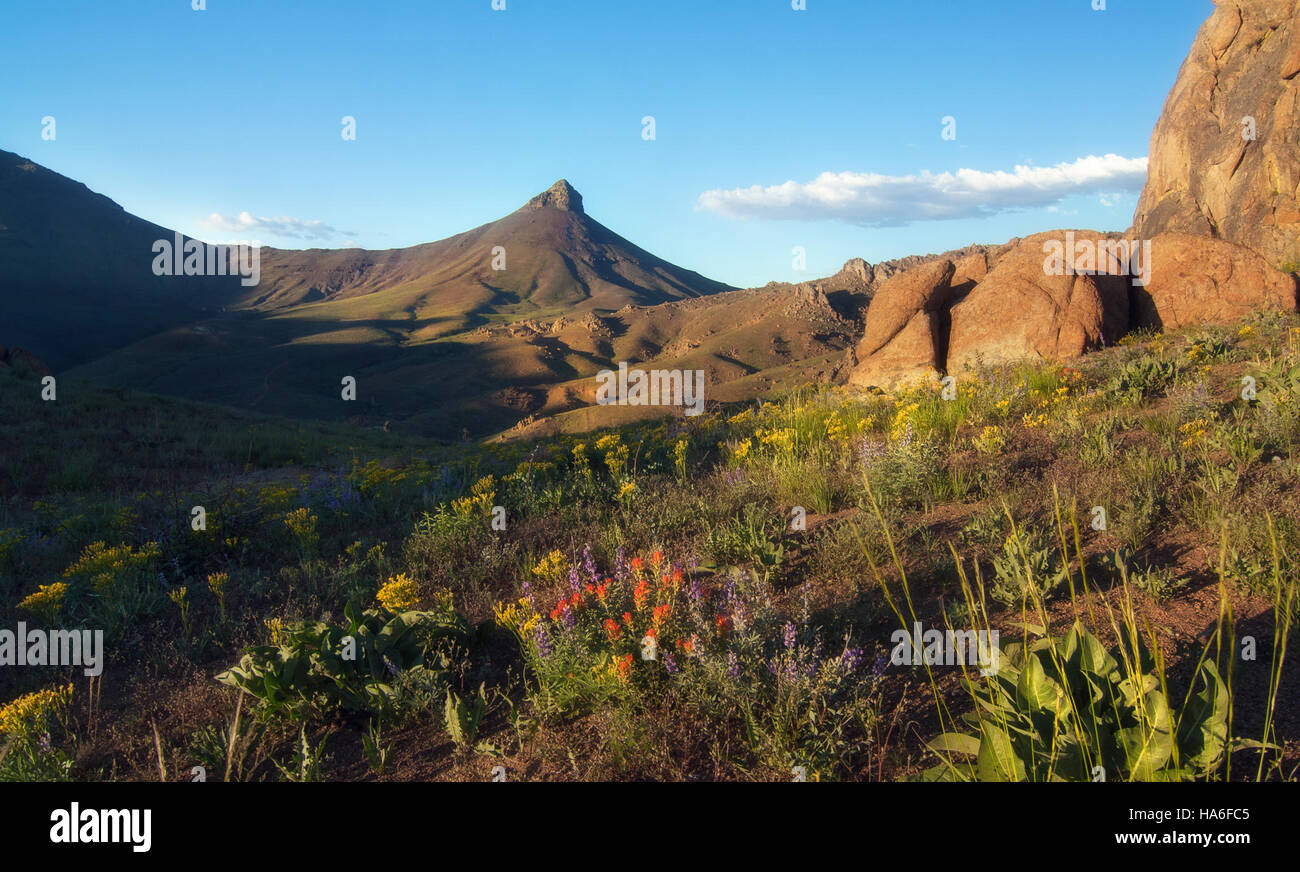 Disaster Peak, located within a national park in Nevada, is known for ...