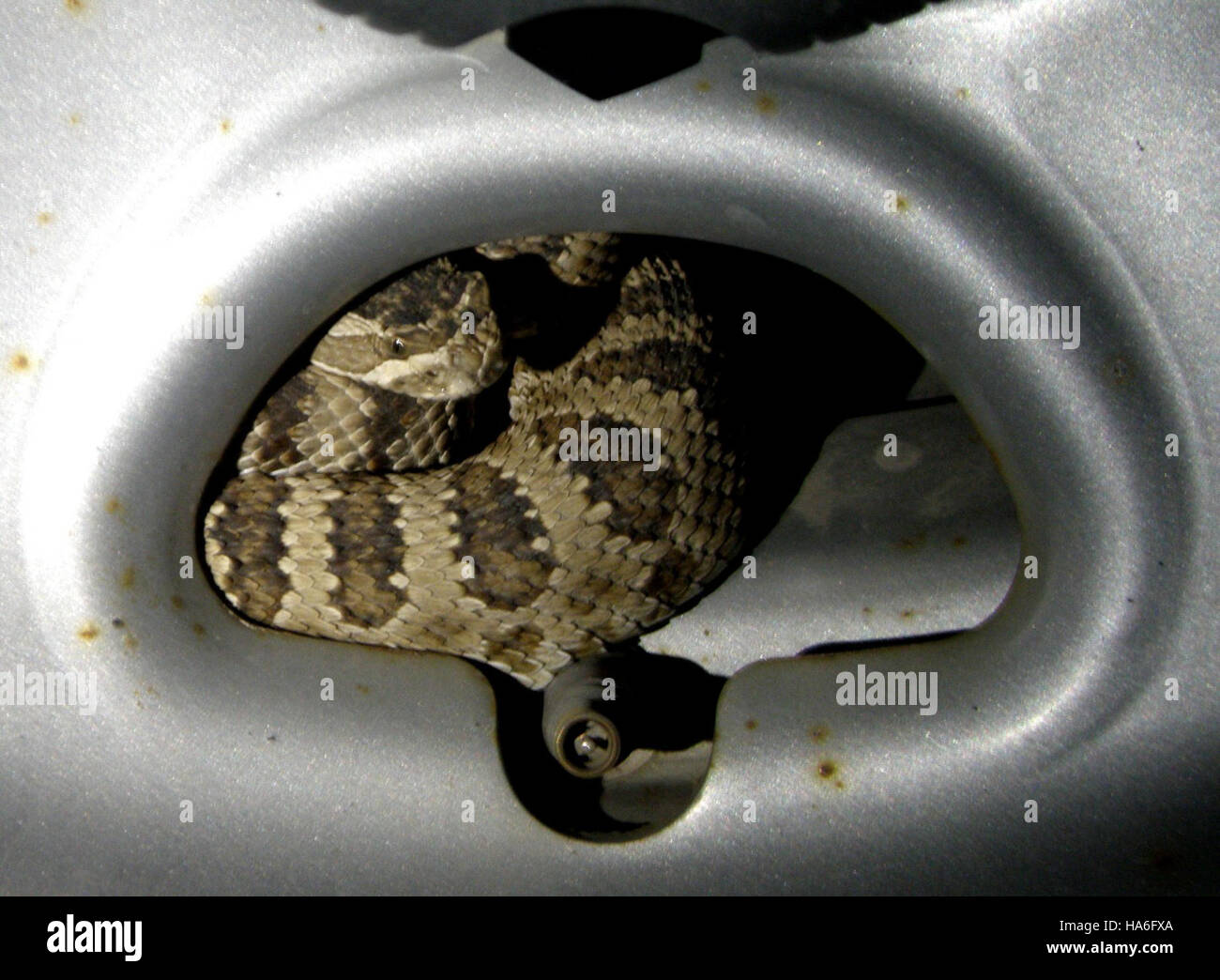 Marking for processing hi-res stock photography and images - Alamy