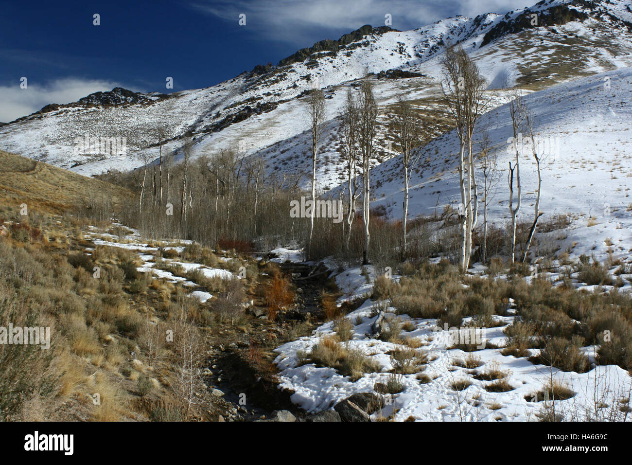 blmnevada 19952744426 130301 - Trip #753 Winnemucca 184 Stock Photo - Alamy