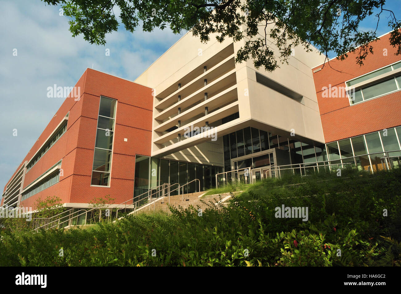 Ornl hi-res stock photography and images - Alamy