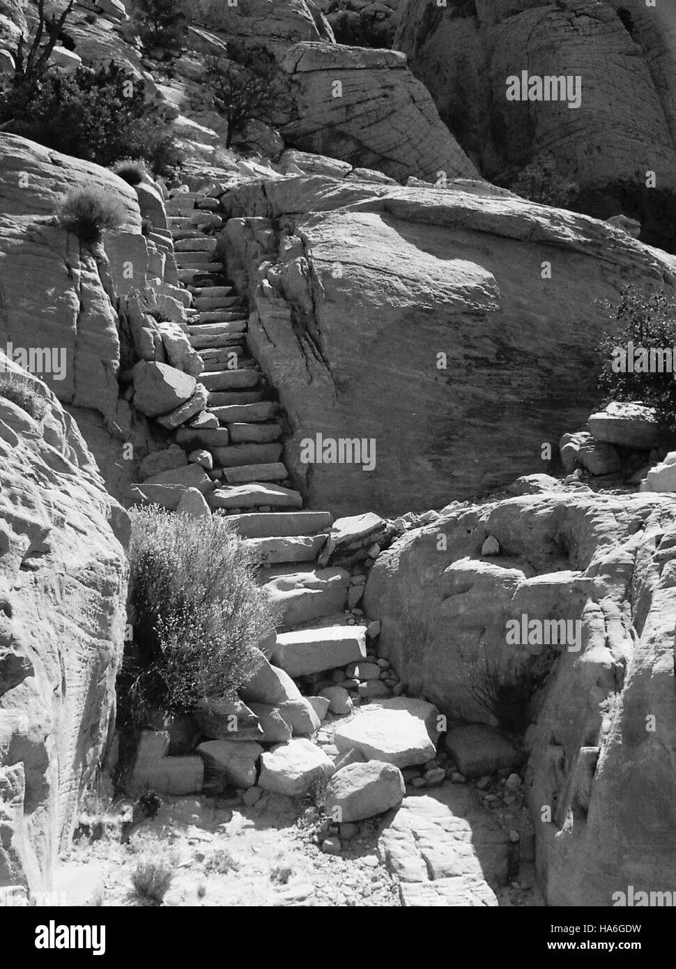 Blm park Black and White Stock Photos & Images - Alamy