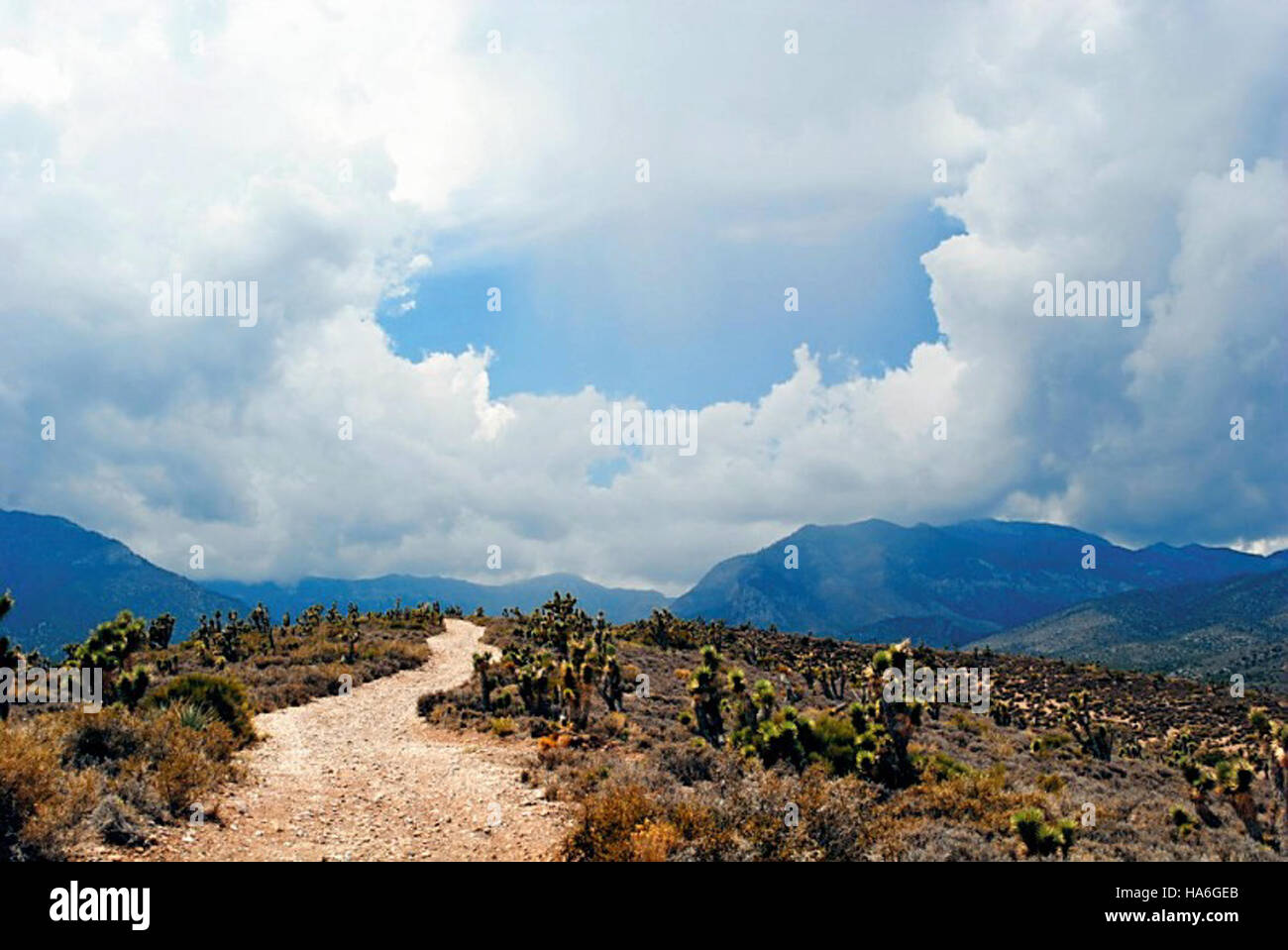 The Bureau of Land Management's Photo Contest showcases the beauty and ...