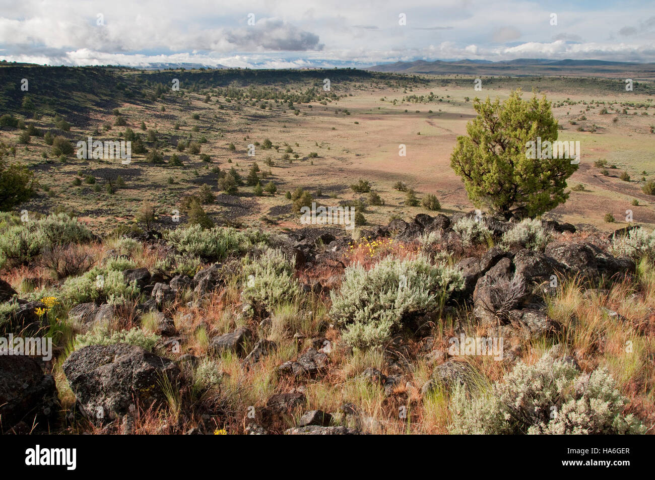 A photo from the Bureau of Land Management's contest, showcasing the ...